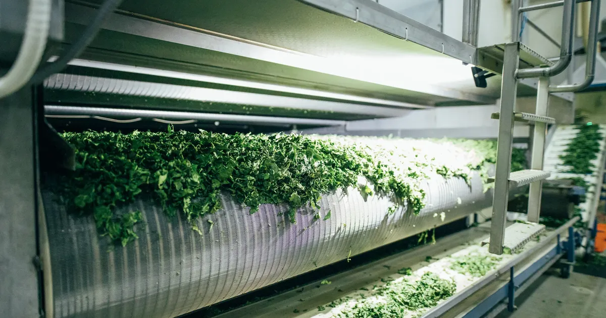 Air-drying | Production process | Geneza Air-Drying plant